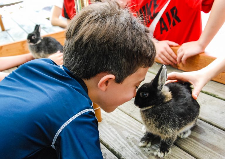 Age-Specific Program - Willow Lake Day Camp